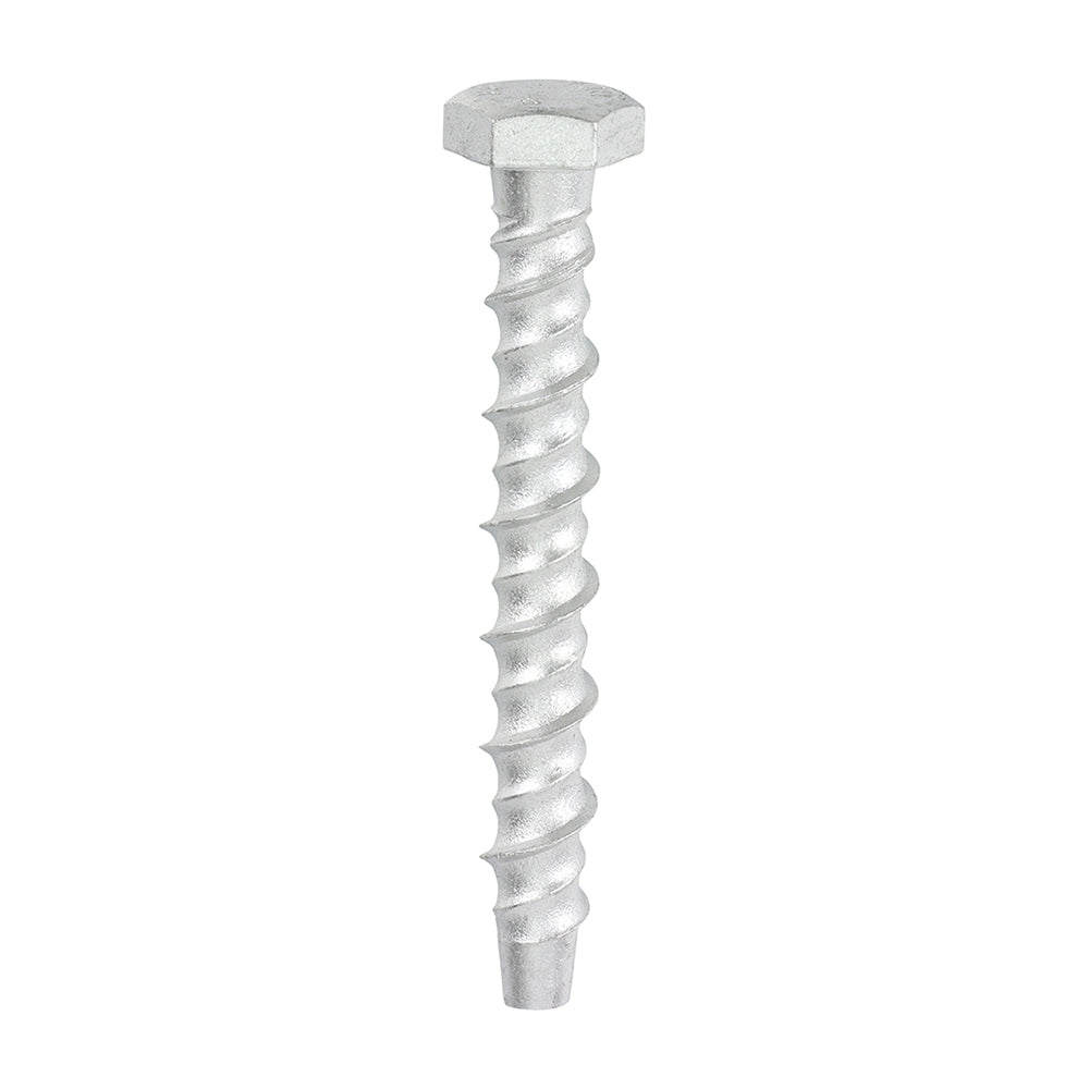 Concrete Anchor Bolt | 8mm Thunderbolt Screws| Hex Head – JONES DIY